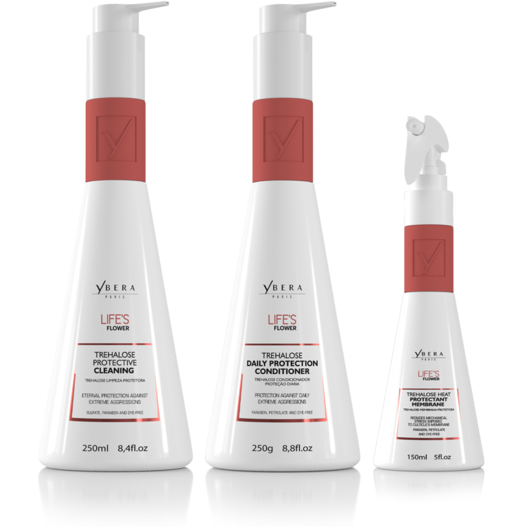 Home - Ybera Paris USA